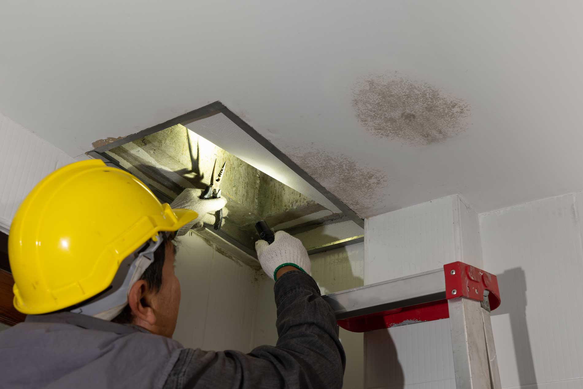 Identifying and Addressing Construction Defects in Commercial Buildings ...